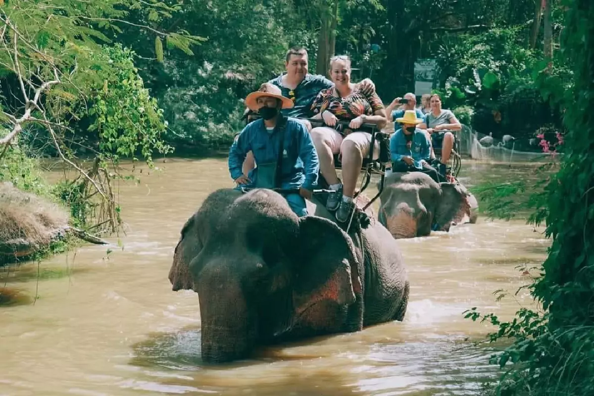Elephant Village and Mongchang Cafe: Elephant Encounters.